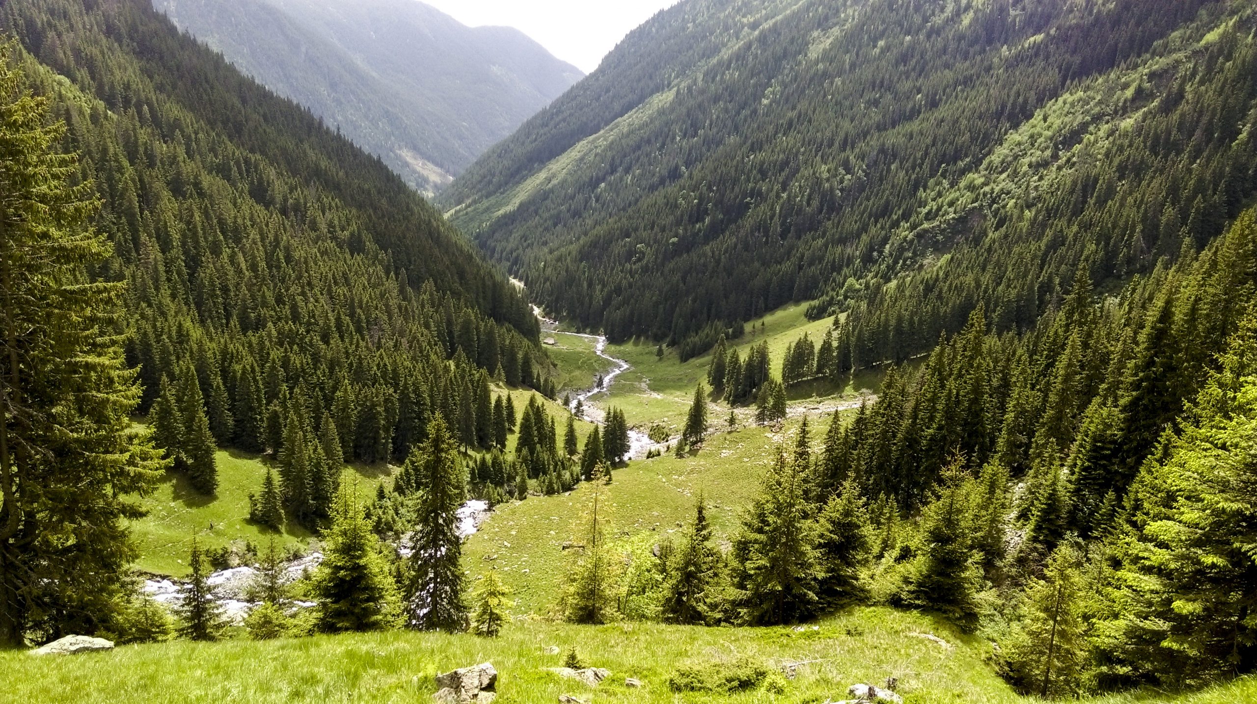 Cazare Stana de Vale, Romania, Munte
