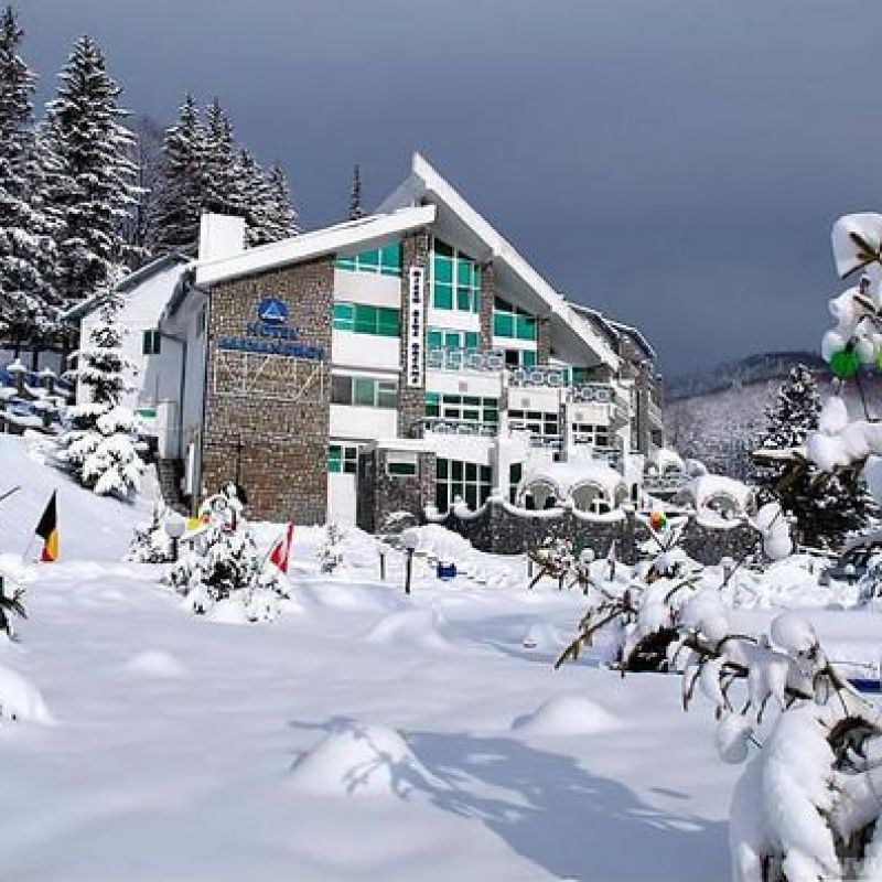 Cazare Hotel Pensiune Vila Predeal, Romania, Munte